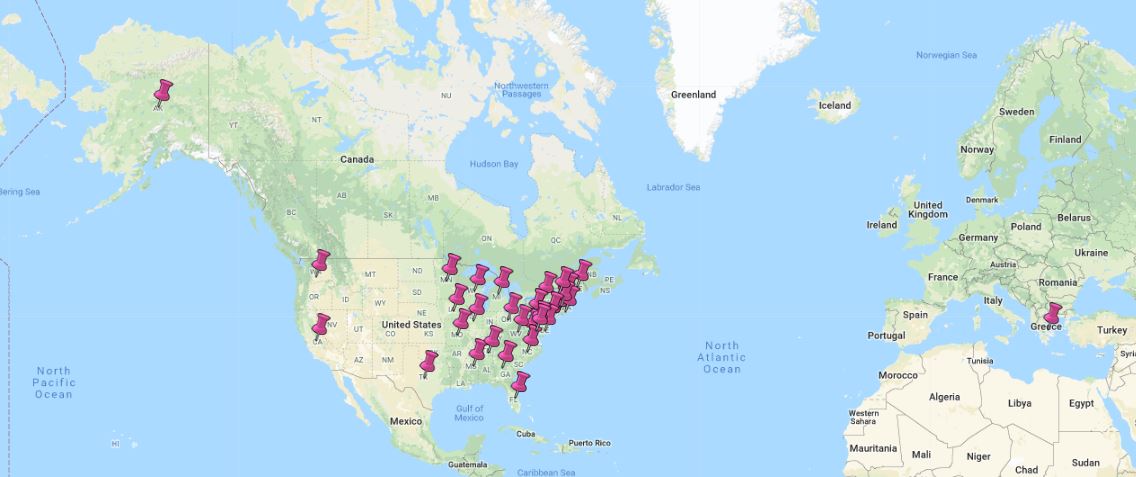 Assessments – Wizard of Paws Physical Rehabilitation for Animals ...