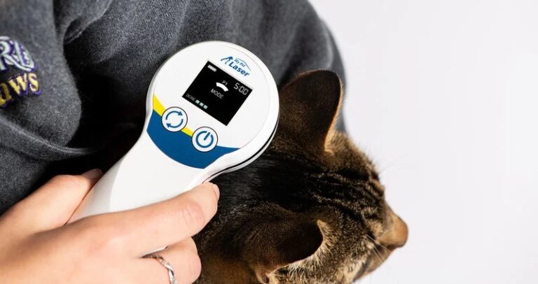 My Pet Laser 2.0 – Wizard of Paws Physical Rehabilitation for Animals ...