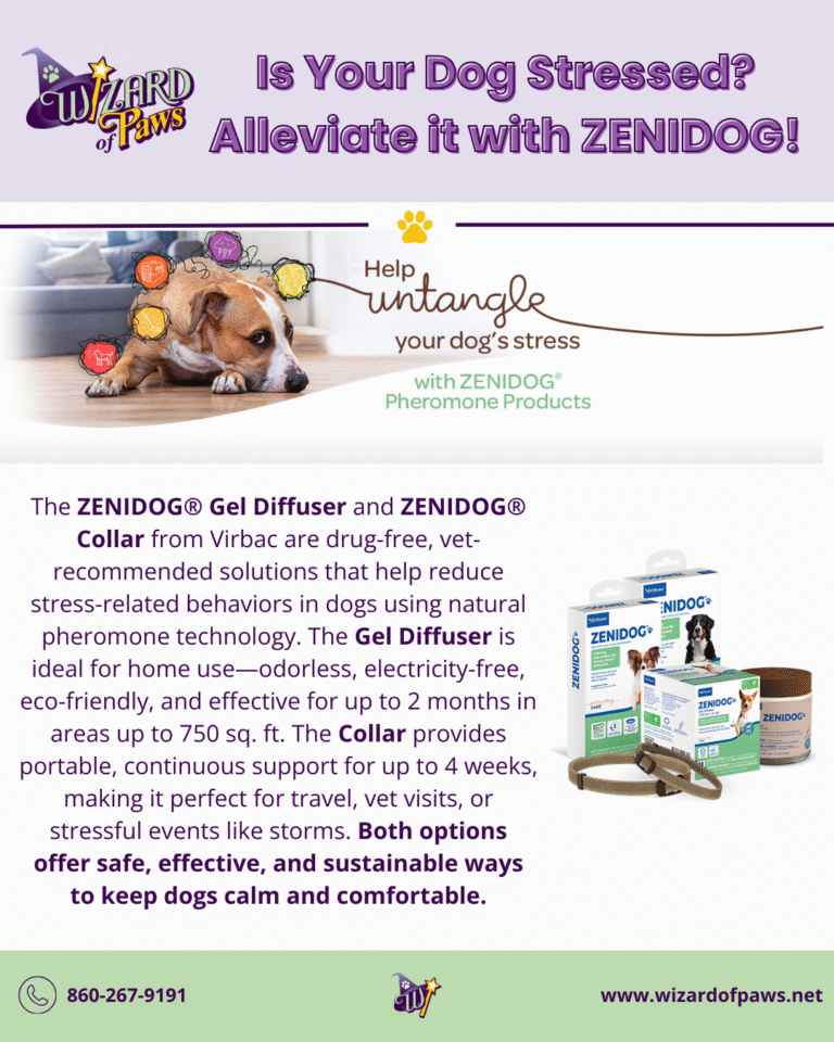 ZENIDOG® Gel Diffuser – Wizard of Paws Physical Rehabilitation for ...